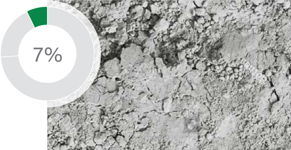 Rain Industries - 48th Annual Report 2022